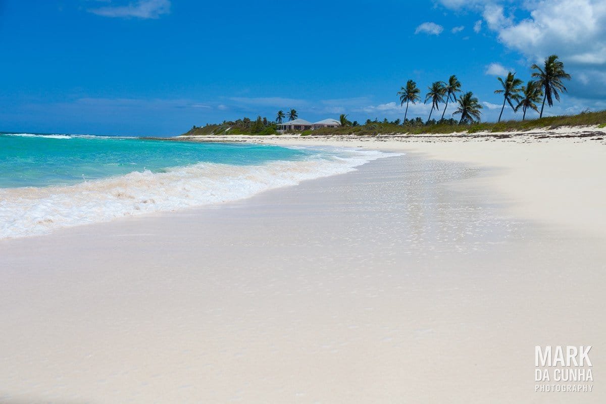 Nature Photography | Mark Da Cunha Bahamas Photographer